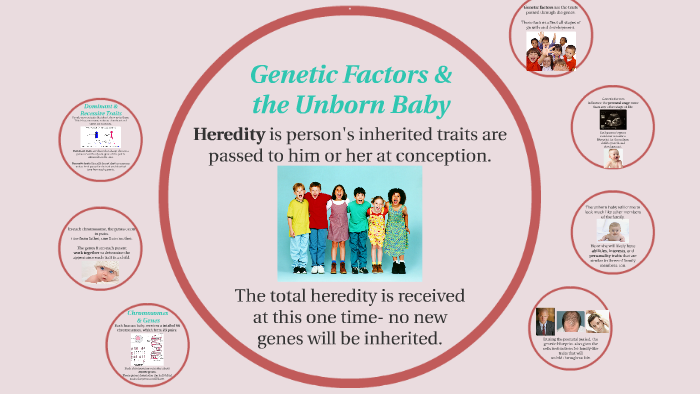Genetic Factors & the Unborn Baby by brita johnson