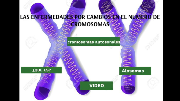 las enfermedades por cambios en el numero de cromosomas by Cristian ...