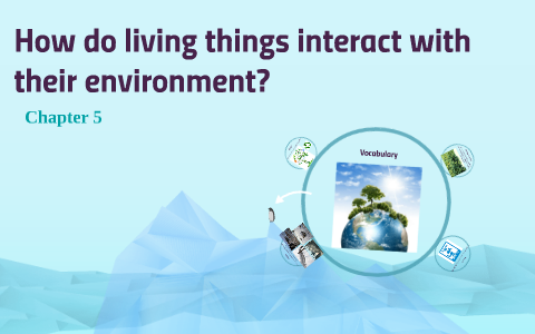 How do living things interact with their environment? by Tyler Wood on ...