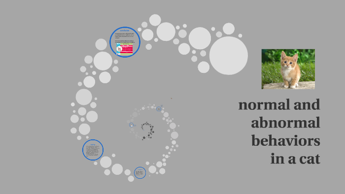 normal and abnormal behaviors by declan lambert on Prezi