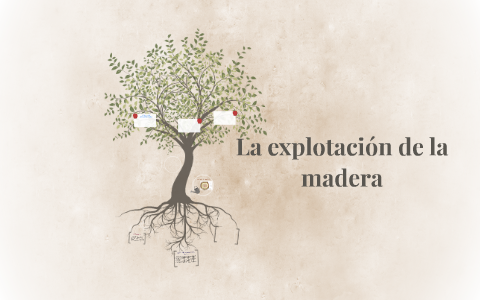 La explotación de la madera by inma fernandez on Prezi