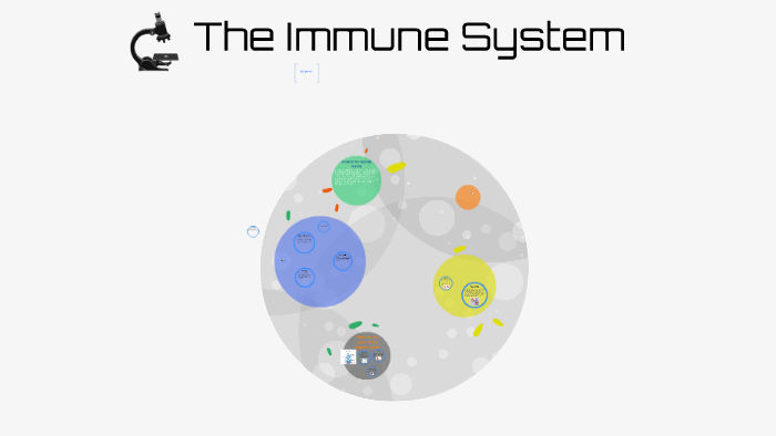 The Immune System by Derek Gao on Prezi