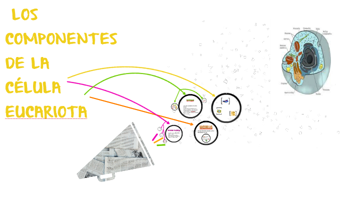 LOS COMPONENTES DE LA CÉLULA EUCARIOTA by nieves boluda on Prezi