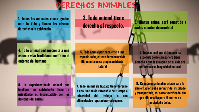 DERECHOS DE LOS ANIMALES by lidia vanessa cujilema cujilema on Prezi