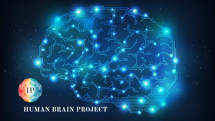 Human Brain Project by кристина джиоева on Prezi