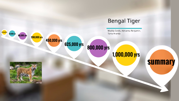 bengal tiger project by adrianna benjamin on Prezi