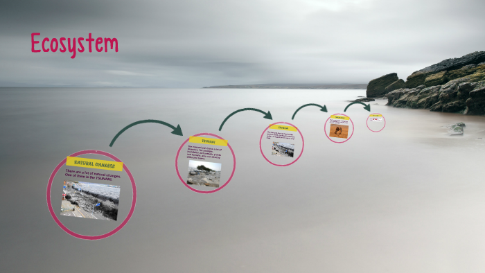 Ecosystem by on Prezi