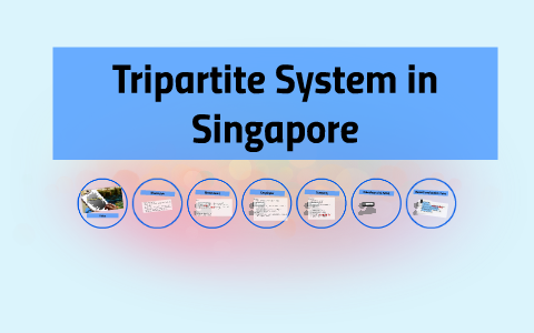 Tripartite system by Wang Huijuan on Prezi