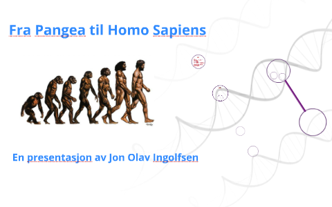 Fra Pangea til Homo Sapiens by Anna Ingolfsen on Prezi