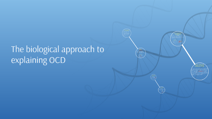 The biological approach to explaining OCD by Imogen Stewart on Prezi