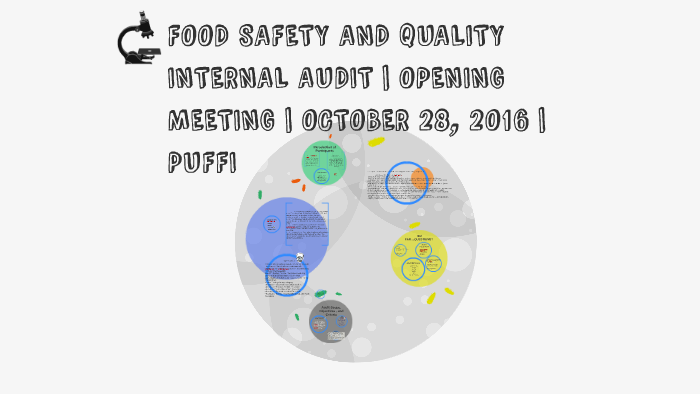 INTERNAL AUDIT | OPENING MEETING by Joshua Revesencio on Prezi