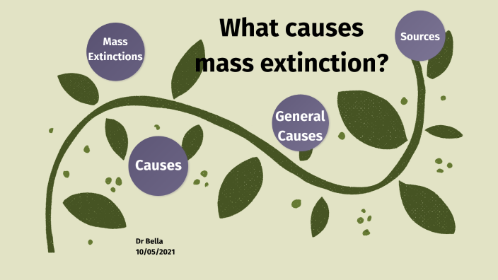 What Causes Mass Extinction by Isabella Logan on Prezi
