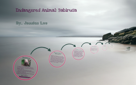 Science Project: Endangered Species by Jessica Lee on Prezi