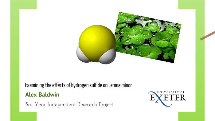 Examining the effects of hydrogen sulfide (H2S) on plant growth by Alex ...