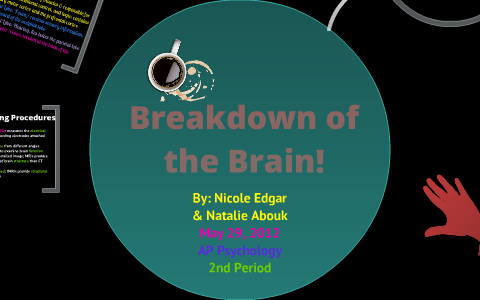 AP Psychology Brain Project by Nicole Edgar on Prezi