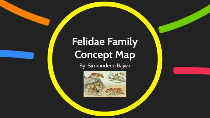 Felidae Family Concept Map by Deep Bajwa on Prezi