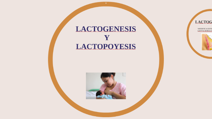 LACTOGENESIS by on Prezi