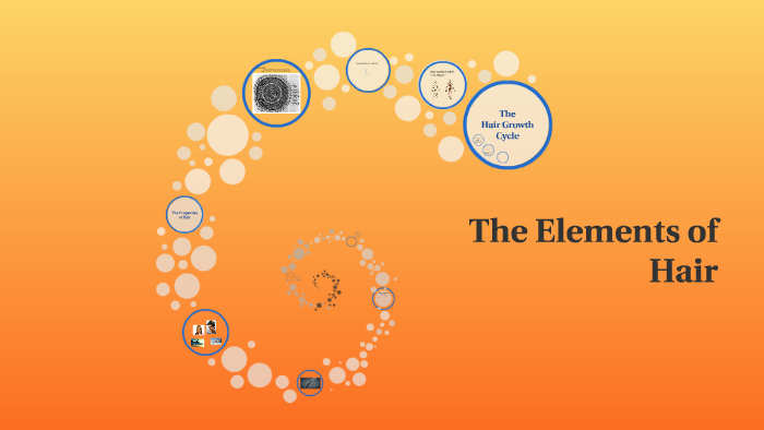 The Elements of Hair by sara seekings on Prezi