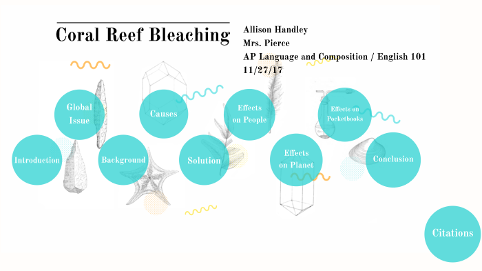 Coral Reef Bleaching by Allison Handley on Prezi