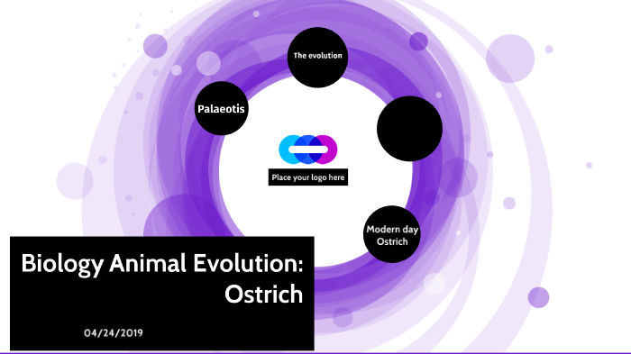 Bio Animal Evolution Project by Shahnaz Abdul-Aziz on Prezi