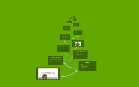 Artsen Zonder Vakantie by Hilde Geens