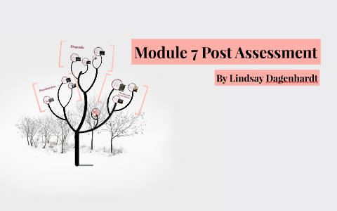Module 7 Post Assessment by Lindsay D on Prezi