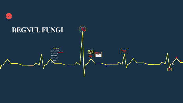 Regnul FUNGI by Andrei Pricop on Prezi