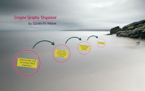 Enzyme Graphic Organizer by elizabeth mason on Prezi