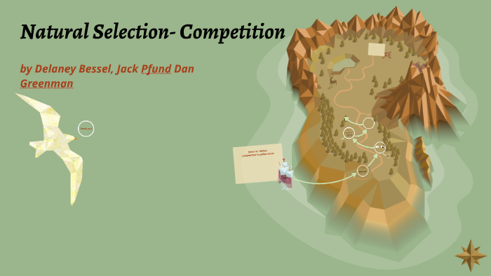 Natural Selection- Competition by Delaney Bessel on Prezi
