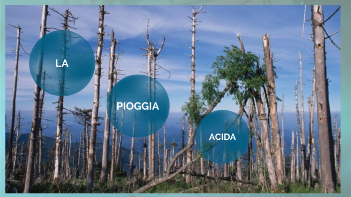 La pioggia acida by FEDERICO LISCIA on Prezi
