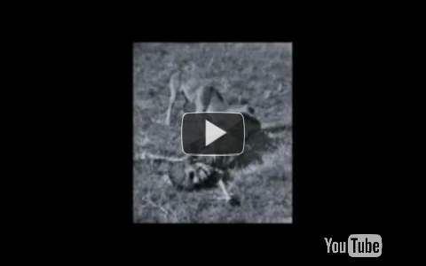 The Holodomor: Death By Starvation by lina assi on Prezi