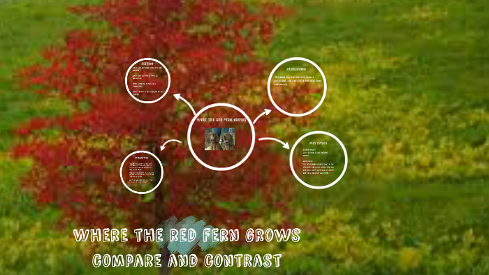 Where the red fern grows compare and contrast by Deysi Tinajero
