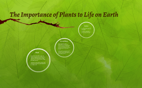 The Importance of Plants to Life on Earth by S M on Prezi
