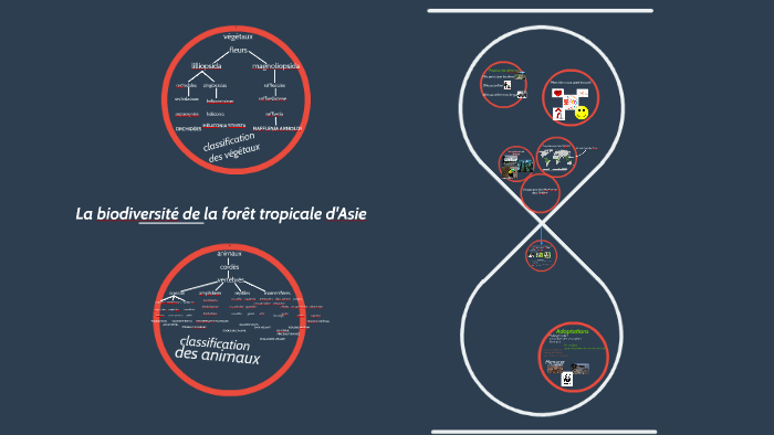 La biodiversité de la forêt tropicale d'Asie by isabelle trepanier on Prezi