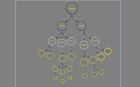 Osmoregulation and Thermoregulation Concept Map by Audrey Re on Prezi