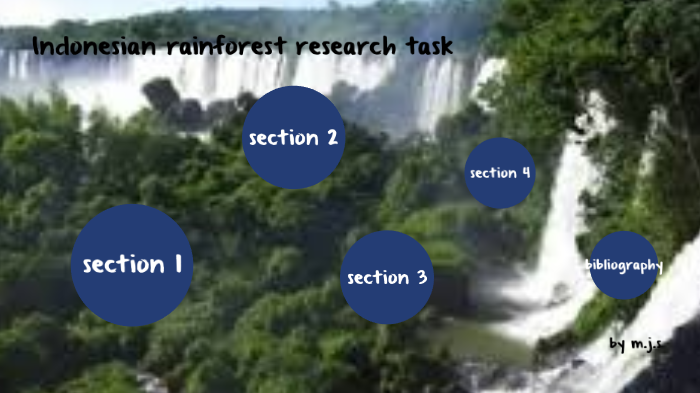 Rainforest Research task by Jayne Stone on Prezi