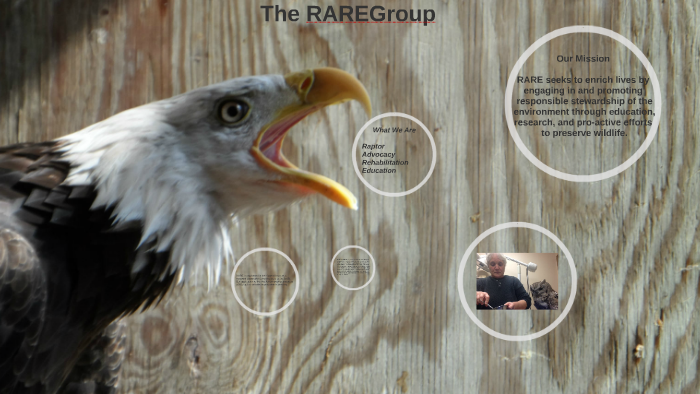 Introducing the RARE Group by Phil Cronin on Prezi