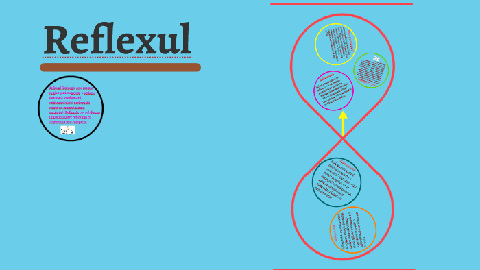 Reflexul by Daniel Cotruta on Prezi