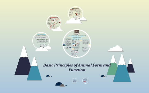 Chapter 32:Basic Principles of Animal Form and Function by Rebecca ...
