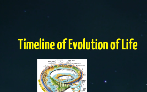 Timeline of Evolution by Jessica Torrano on Prezi