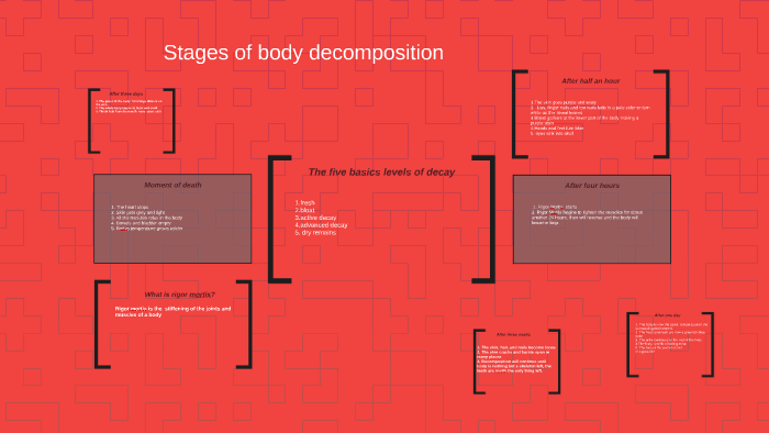 Stages of body decomposition by Fletcher Dudman-Batters on Prezi