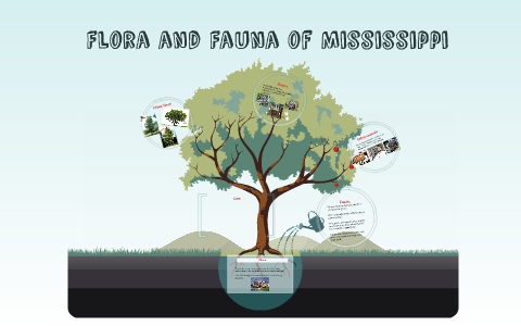 Flora and Fauna of Mississippi by Ally Flowers on Prezi