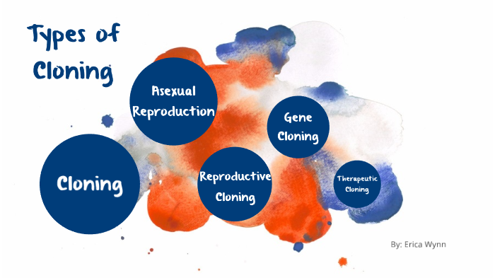 Types of Cloning by Erica Wynn on Prezi