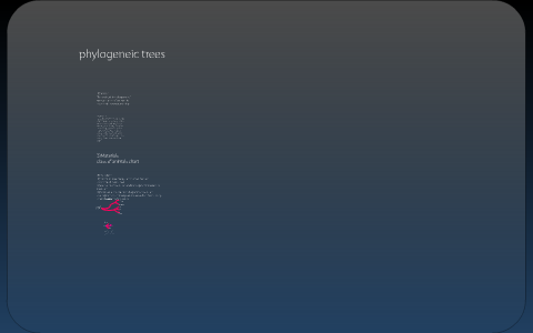 evolution lab follio by corey schroeder on Prezi