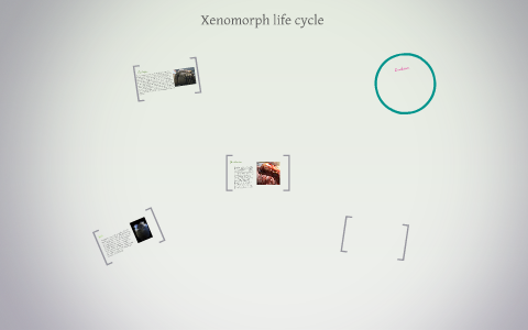 Xenomorph life cycle by Ky Strother on Prezi