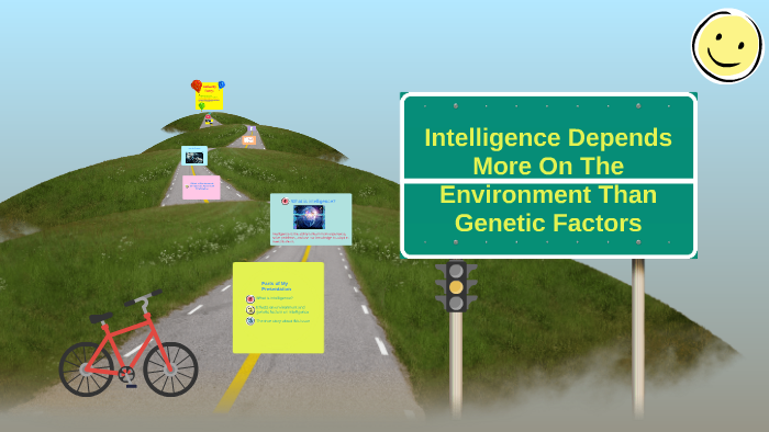 Intelligence Depends More On The Environment Than Genetic Fa by Selen ...