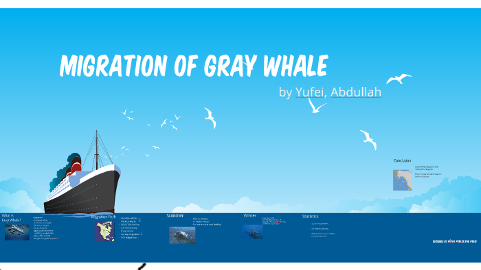 Migration of gray whale by yufei liu on Prezi