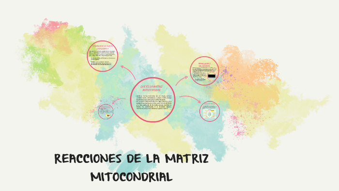 REACCIONES DE LA MATRIZ MITOCONDRIAL by Ana Montaña on Prezi