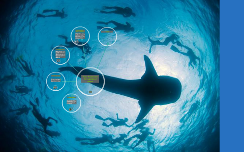 Water Properties and the Adaptations of Animals by on Prezi