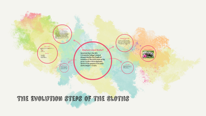 The Evolution steps of the Sloths by LaJahna White on Prezi